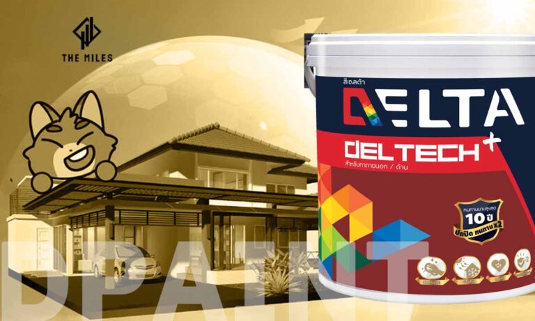 DPAINT รายได้ Q2/66 เฉียด 250 ลบ. จ่อบุกตลาด CLMV - THE MILES